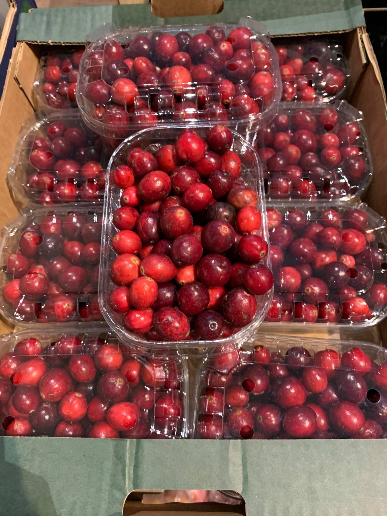 Cranberry Punnet - Jacksons Fruit & Veg