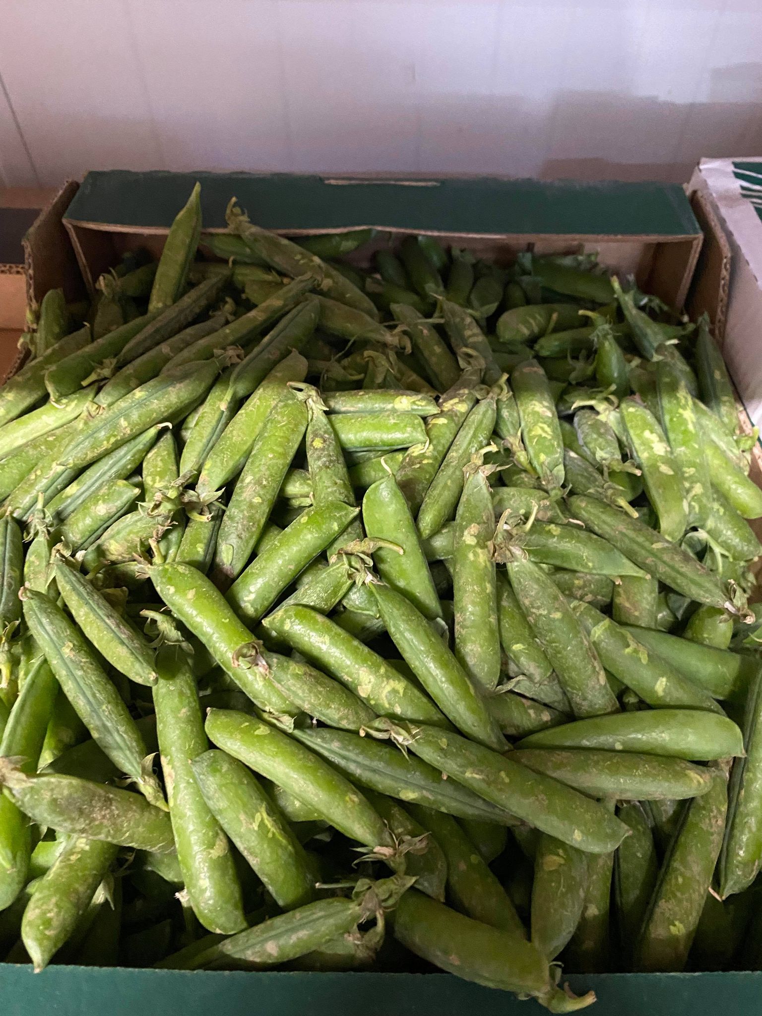 Pod Peas - Jacksons Fruit & Veg