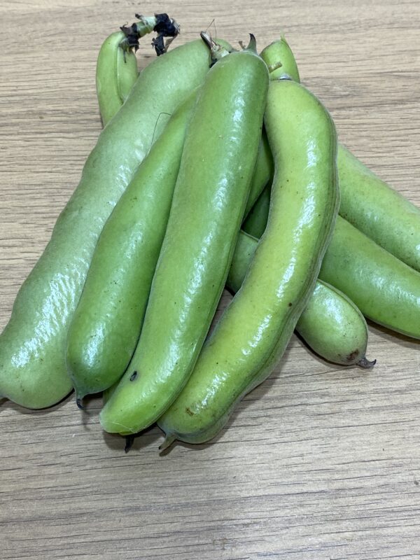 Broad Beans - Jacksons Fruit & Veg