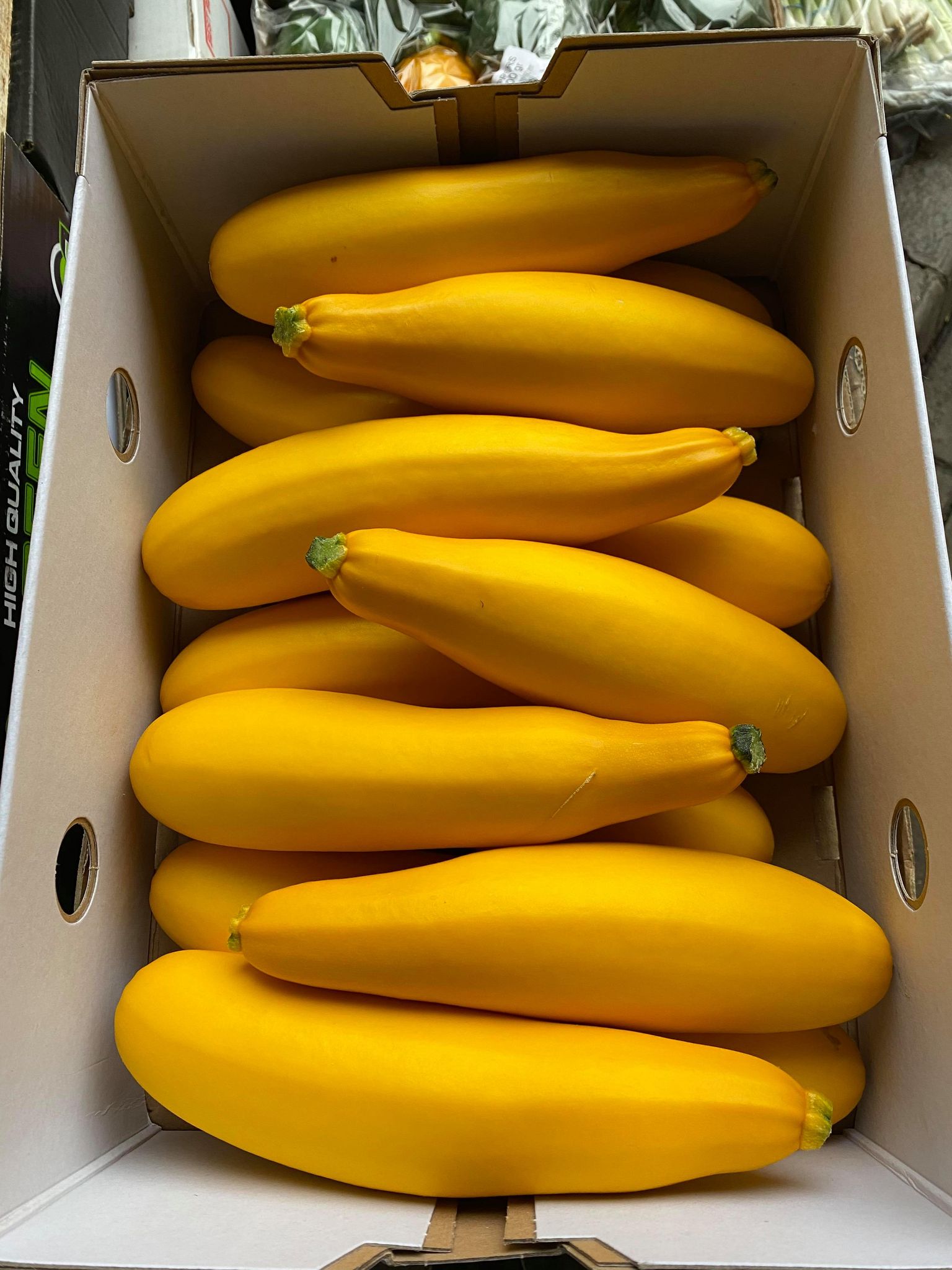 Yellow Courgette - Jacksons Fruit & Veg