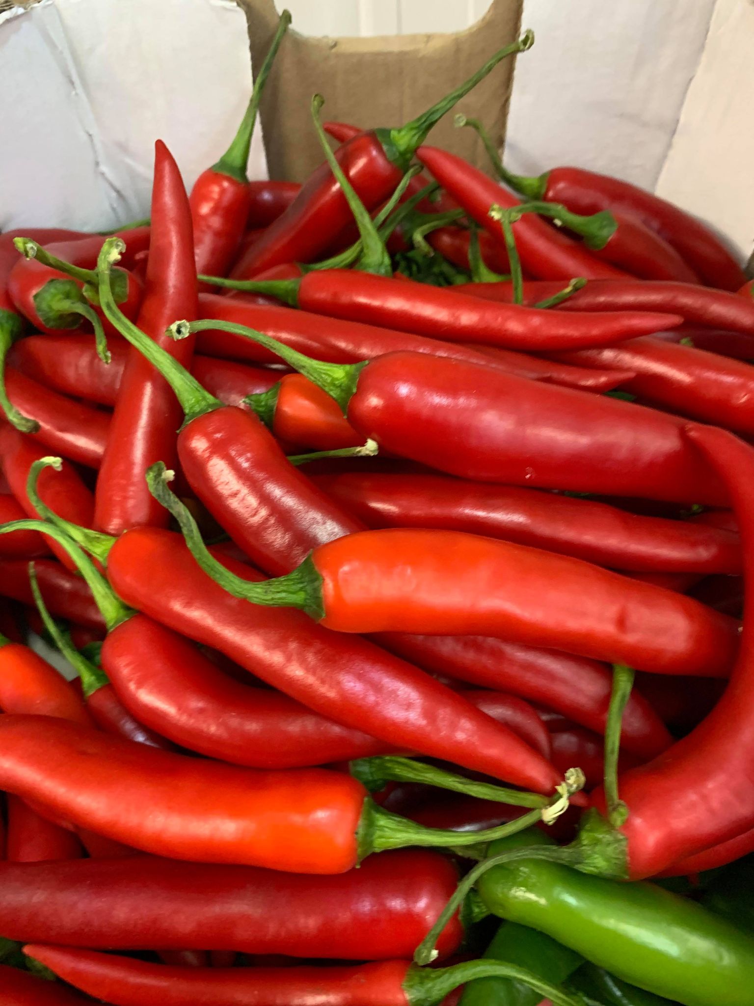 Mixed Chillies - Jacksons Fruit & Veg