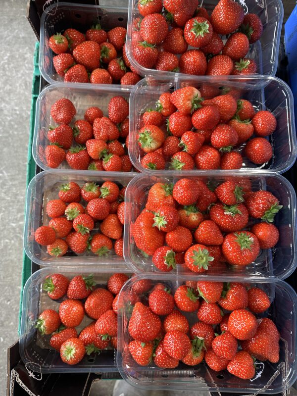 Strawberry 250g - Jacksons Fruit & Veg