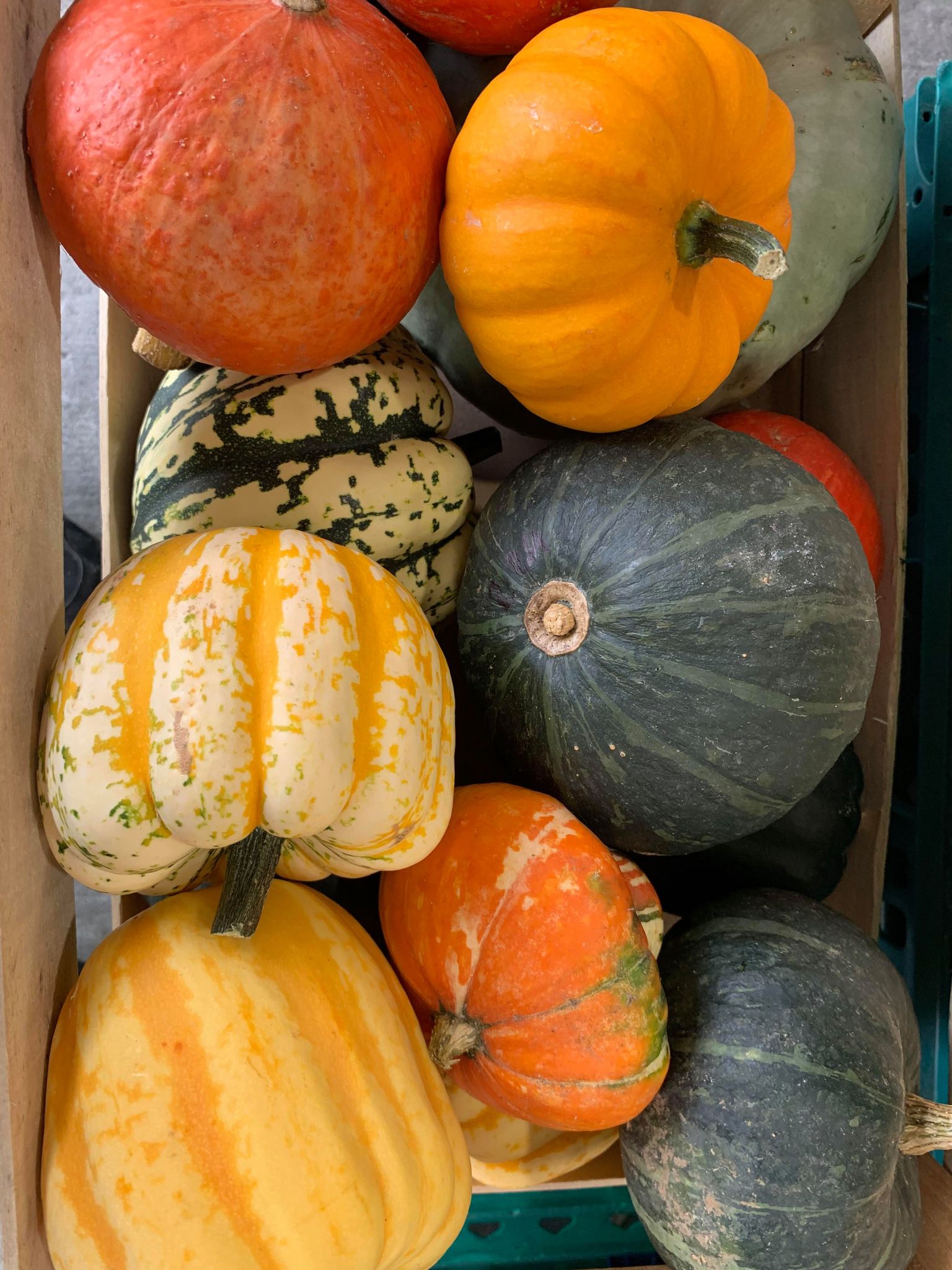 Autumn Squash - Jacksons Fruit & Veg
