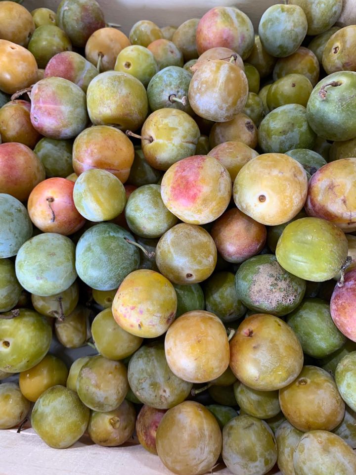 Green Gage Plum - Jacksons Fruit & Veg